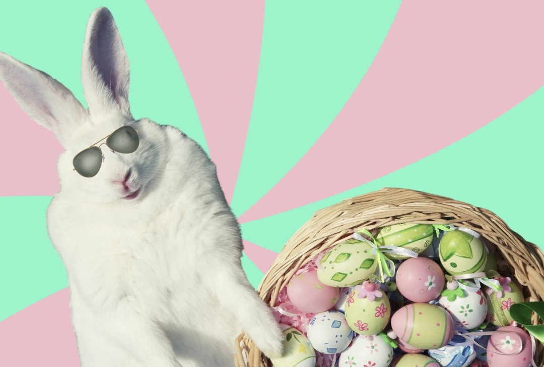Step into Spring With Our Easter Competitions - Hanningtons Brighton